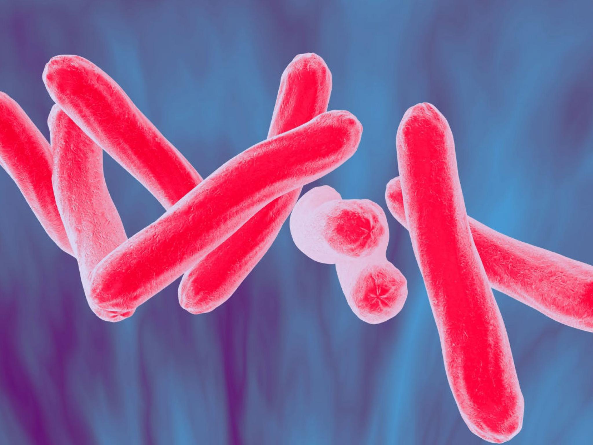 tuberculosis bbc